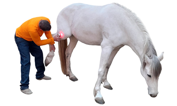 PainBuster 25W Laser Therapy | At Home Device – PainBuster Laser